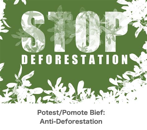 Anti Deforestation Poster Design Behance