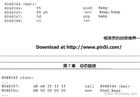 程序员的自我修养第七章——动态链接 下程序员的自我修养里 动态链接一段 模块内部的数据 Csdn博客
