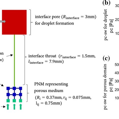 Pore Network Representing A Gdl Structure The White Lines Mark The