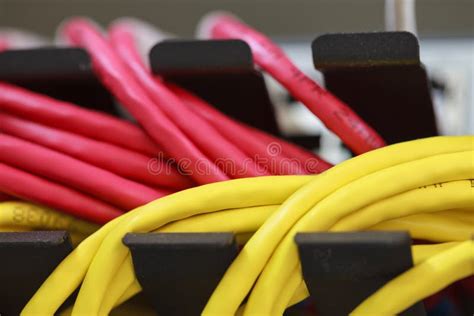 Large Network Hub Connected Internet With Lan Cables Stock Image Image Of Communication Patch