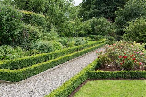 2048x1365 Best Plants For A Formal Hedge PDB 11 7 17 0021 Evergreen
