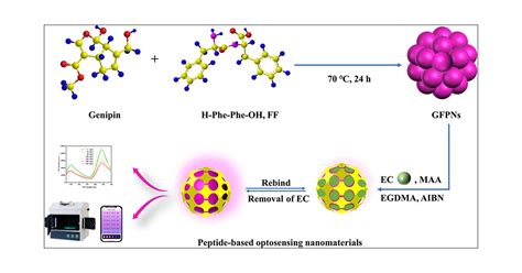 Peptide Based Molecularly Imprinted Polymer A Visual And Digital