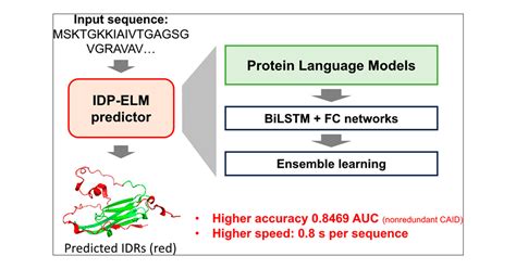 Accurate And Fast Prediction Of Intrinsically Disordered Protein By