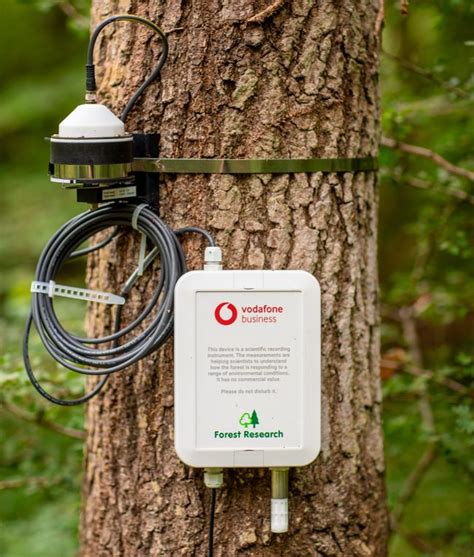 Vodafone And Defra Launch 5g Ready Nb Iot Forest Sensors In The Uk