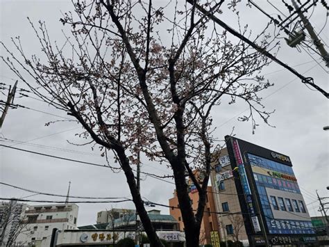 대전단독주택매매 매610 복층계단외부계단 및 리모델링이 된 주택매매 네이버 블로그