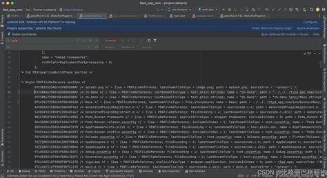 Flutter项目苹果编译运行打包上线flutter 打包ios Csdn博客