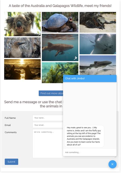 What It Takes To Write A Codelab Behind The Scenes Of My First Experience In Developer
