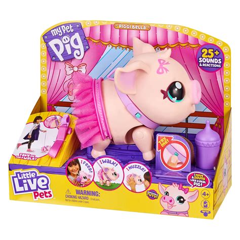 Mi Pet Pig | ubicaciondepersonas.cdmx.gob.mx