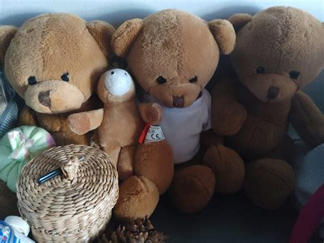 Freddles Five Nights At Freddys Amino