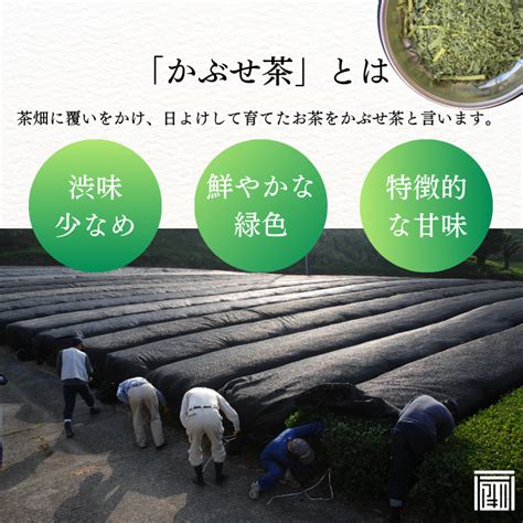 静岡茶 掛川茶 あきは茶園 焼かぶせ