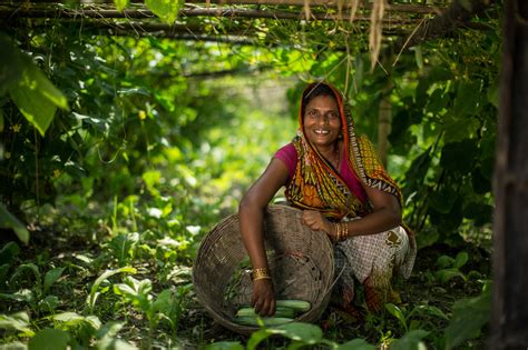 Agriculture And Food Security Asian Development Blog