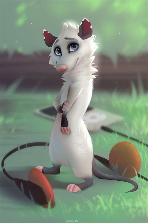 20467 Safe Artistmiles Df Heather Over The Hedge Mammal