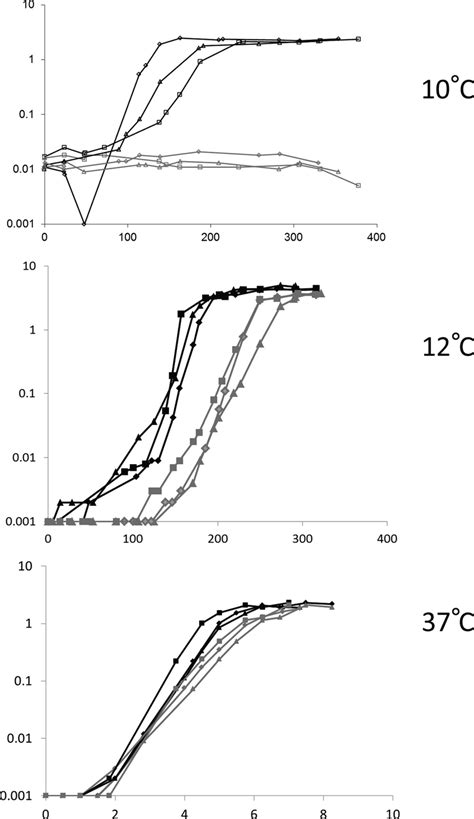 Growth Curves Of B Cereus Wt And Bc2216 17 Strains At Various