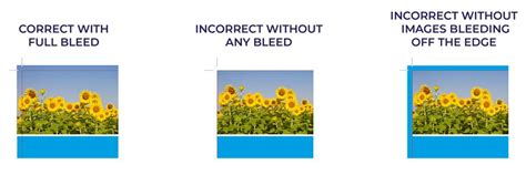 What Is Print Bleed And Why Do Printers Need It