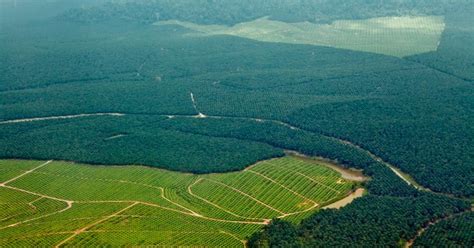 Joining The Cptpp Is A Gateway To Lower Food Standards Comment And Opinion The Grocer