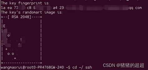 Github无法远程拉取仓库“permission Denied Publickey Fatal Could Not Read