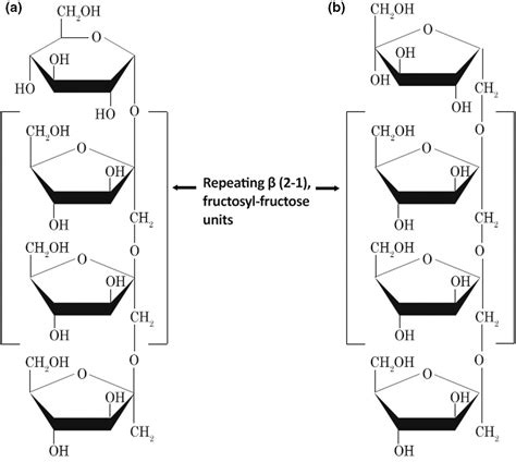 Inulin Structure