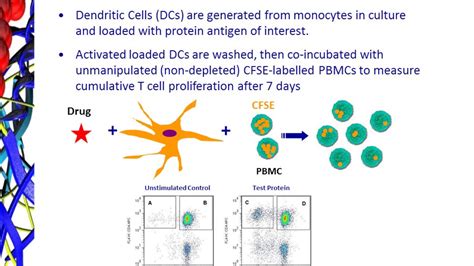 Proscern™ Dc T Cell Proliferation Assay Youtube