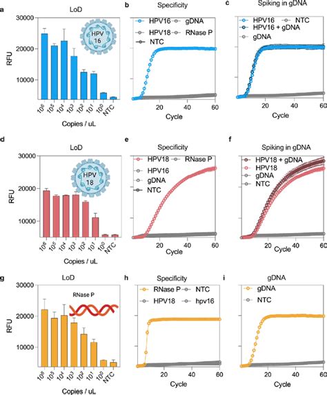 CRISPRD Based Sensitive And Specific Detection Of Synthetic HPV16 And