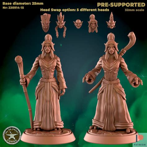 3d Printable Troll Female Mage Two Models By My3dprintforge