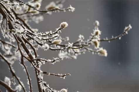 Vremea în Alba în săptămâna 10 16 februarie nopți și dimineți geroase