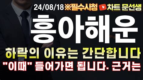 흥아해운 주가전망 🌕불안하신 분들 꼭 보세요 문선생 Youtube