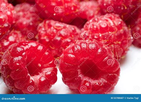 Fresh Raspberry For Fun And Pleasure Stock Image Image Of Color