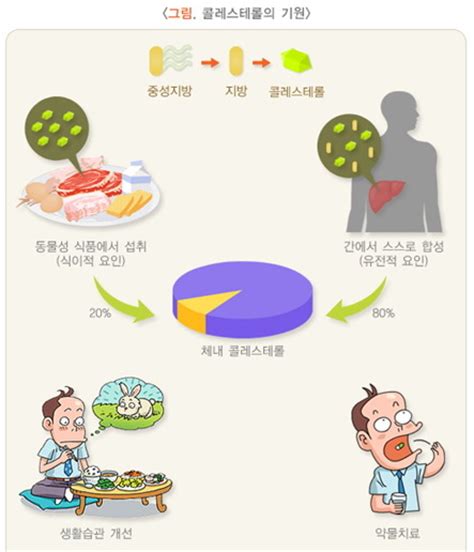 콜레스테롤 높은 음식 포화지방산이 많은 음식 트랜스지방이 많은 음식 네이버 블로그