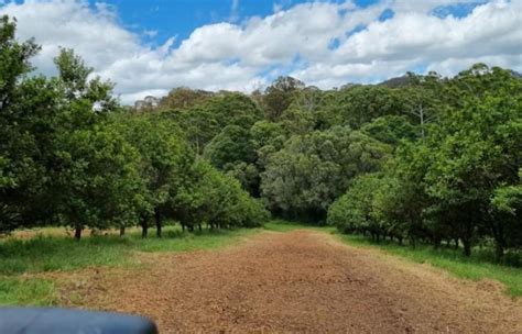 Mulching Services Sunshine Coast Brisbane QLD And NSW
