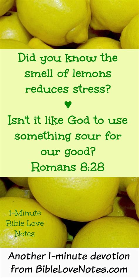 1 Minute Bible Love Notes Sweet Lemons