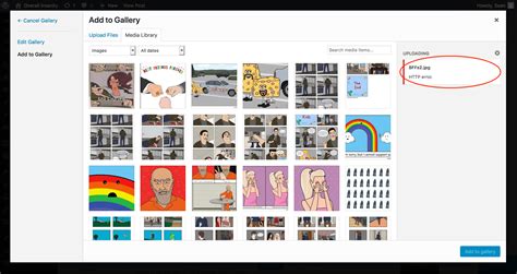 Wp Admin How To Reset Ownership And Permissions Of Wp Content Folder