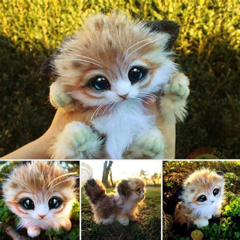 755 Best Beautiful Creatures Images On Pinterest Fantasy Creatures