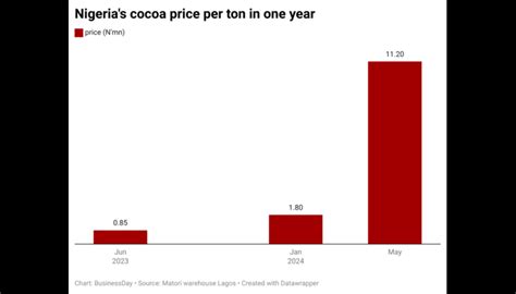 Cocoa Rush Farmers Revive Old Trees Amid Price Surge Norvanreports