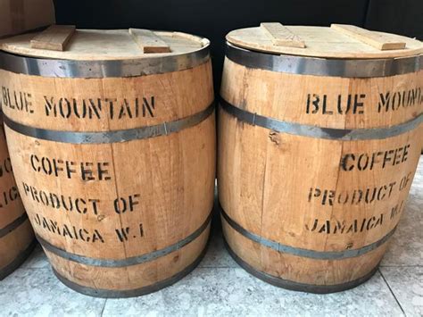 일본이 유통을 장악한 세계 3대 커피 자메이카 블루마운틴 한국일보