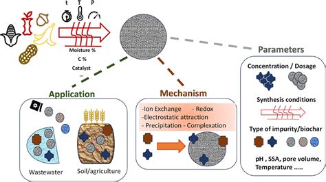 exploring biochar with machine learning for environmental management