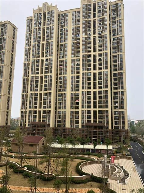 东厦新城华府新洲新城华府大山谷图库