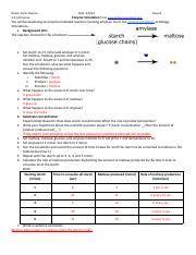 Enzyme Simulation Amylase Pdf Name Zaria Townes Enzymes Date Class