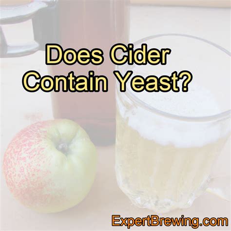Is There Yeast In Cider
