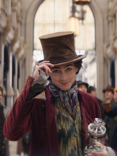 Willy Wonka Tim Burton Hot Sale | emergencydentistry.com
