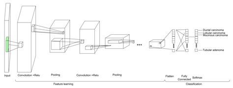 Resnet18 Architecture Download Scientific Diagram