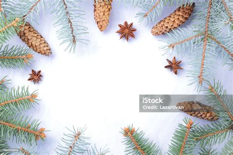 전나무의 분 지 전나무 콘와 아니 스 크리스마스 패턴입니다 크리스마스 카드에 대 한 빈 흰색 바탕에 크리스마스 분기 합니다 공간 복사 0명에 대한 스톡 사진 및 기타 이미지