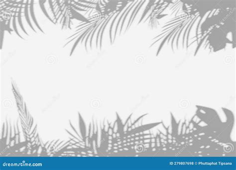 Blurred Tropic Leaves Behind Frosted Glass With Waterdrops