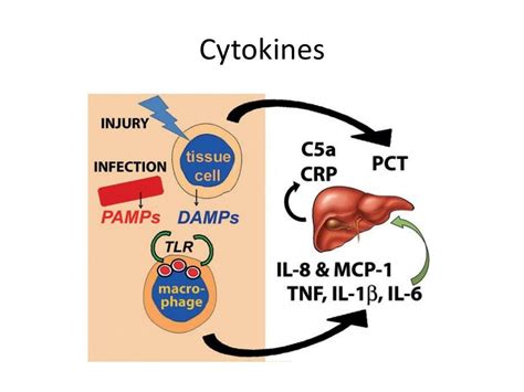 Biomarkers In Sepsis