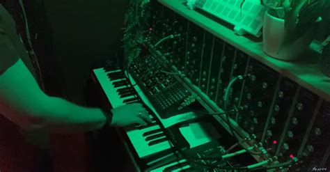 Mort Garsons ‘plantasia On Moog Format Modular Synthesizer Synthtopia