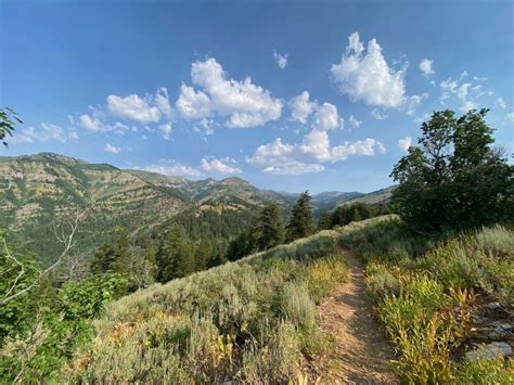 Jardine Juniper Trail The Bike Crank