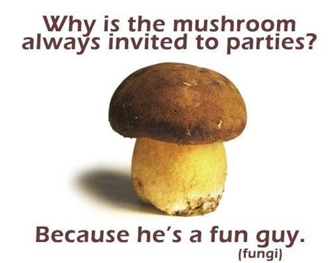 Science Puns Funny Science Memes