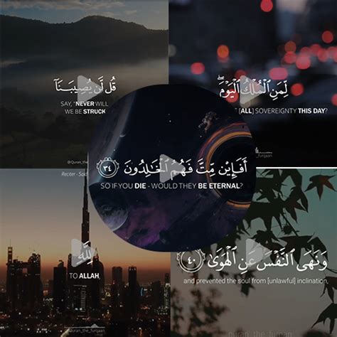Best Quran Tilawat Recitation Videos The Quran Guides