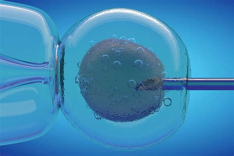 The Experiences Of Fertility Preservation Oncology Buddies