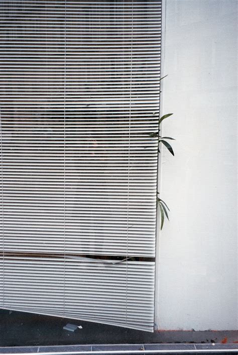 Olivia Langner Coeval Magazine