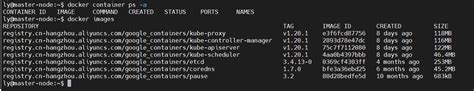 Kubeadm Init Fails With Kubelet Check Initial Timeout General